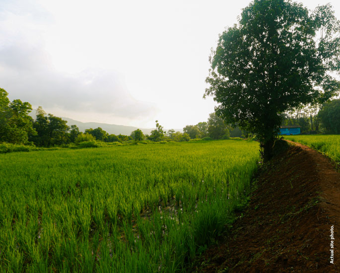 Experience Luxury NA Plot Amenities at Satvam Hills