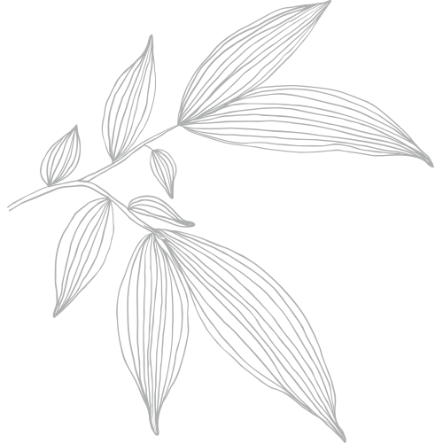 Prime Na Plots in Mulshi | Discover Your Dream Plot Today!